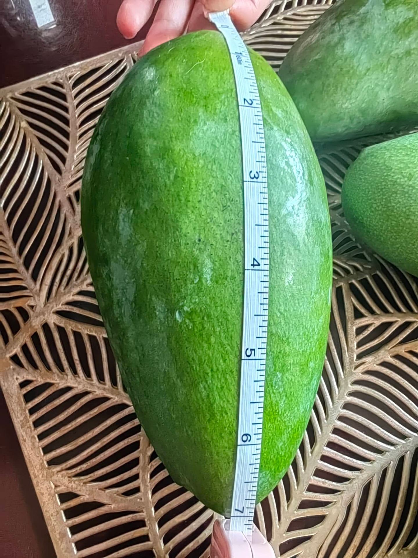 Tatay’s Giant Mangoes – From My Corner of the Couch